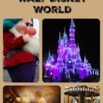 Dozens of Essential Disney World Tips - | Family Travel Magazine