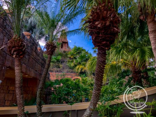 All About Disney Moderate Resorts - Family Travel Magazine