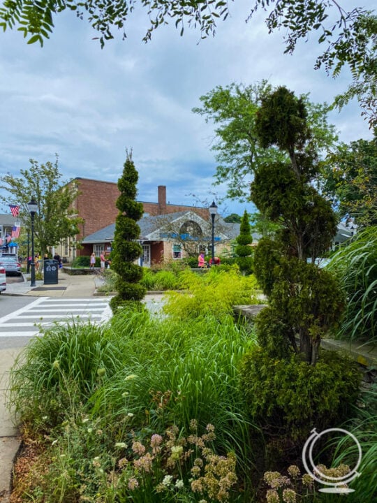 8+ Fantastic Things to Do in Falmouth MA With the Family - Family ...