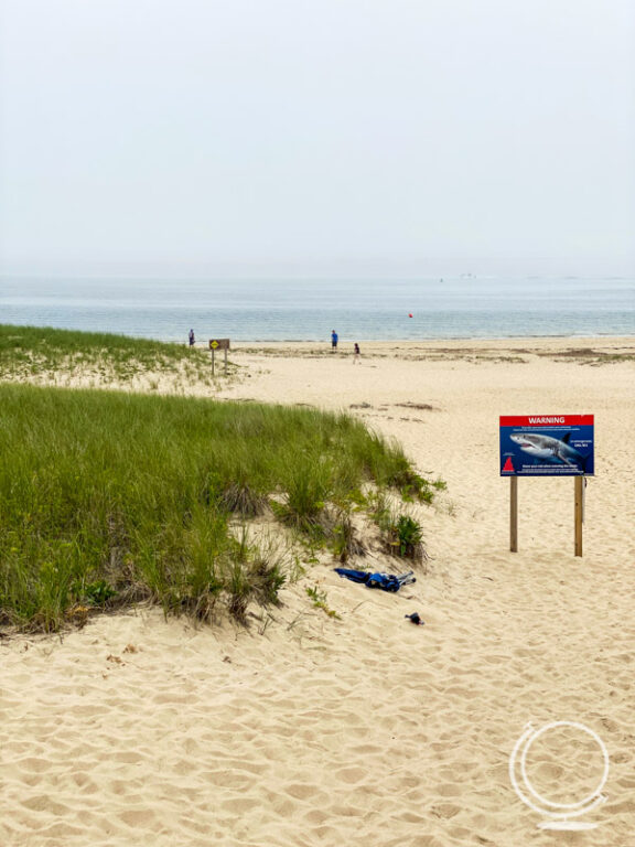 11 Fun Things To Do in Chatham MA on Cape Cod - Family Travel Magazine
