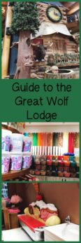 Guide to Staying at the Great Wolf Lodge - Family Travel Magazine