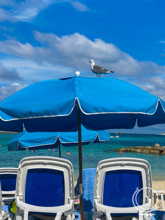 Ultimate Family Guide to Perfect Day at CocoCay Bahamas - Family Travel ...