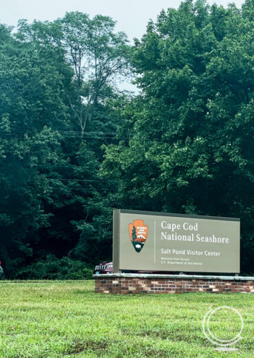 The Best Cape Cod Winter Activities - Family Travel Magazine