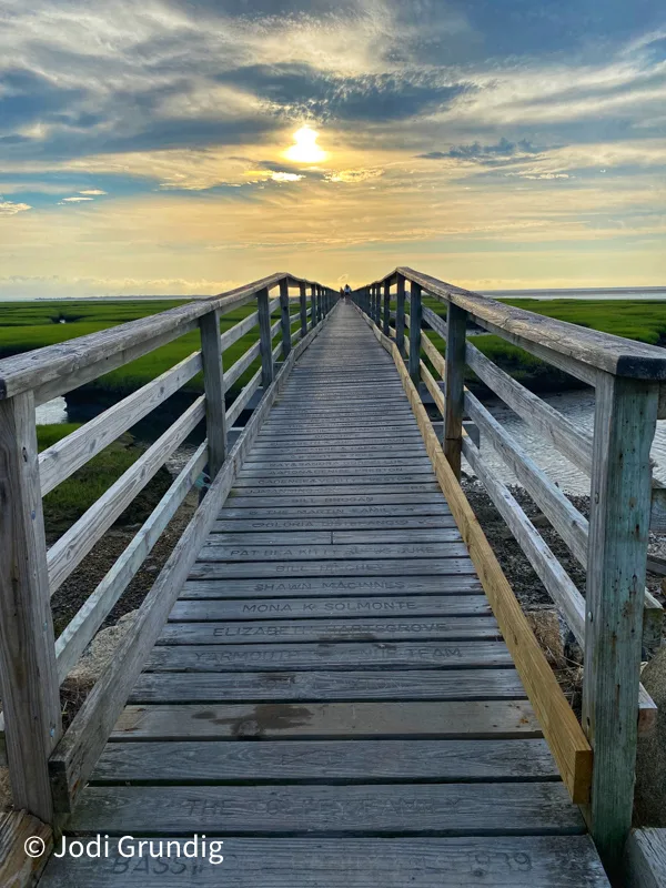 Cape Cod Day Trips for Families - Family Travel Magazine