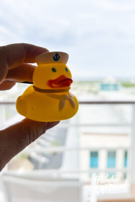 Why Do People Hide Rubber Ducks on Cruise Ships (Cruise Ducks 101 ...