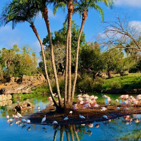 Essential Guide to Miami's Terminal V - Virgin Voyages Adult Only ...