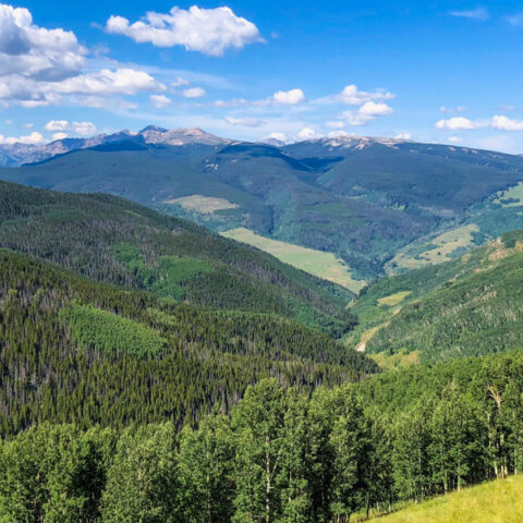 Essential Guide to the Disney Wish Staterooms - Family Travel Magazine