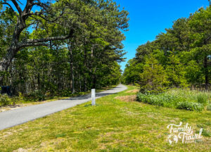 Guide To Cape Cod Rail Trail: See the Beauty of Cape Cod - Family ...