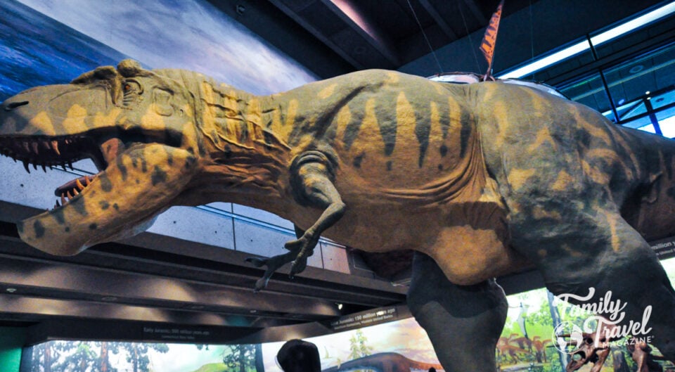 Review of the Boston Museum of Science - Family Travel Magazine