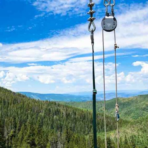 What's Included in a Disney Cruise? And What Costs Extra? - Family ...