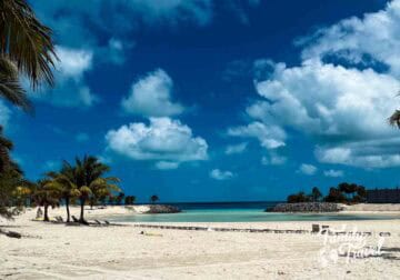 Guide to the MSC Ocean Cay Marine Reserve Private Island - Family ...